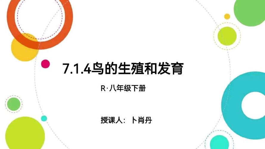 鸟的生殖与发育图标