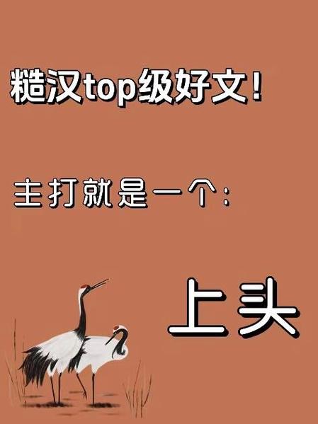 糙汉家的小娇夫by酒窝蟹截图