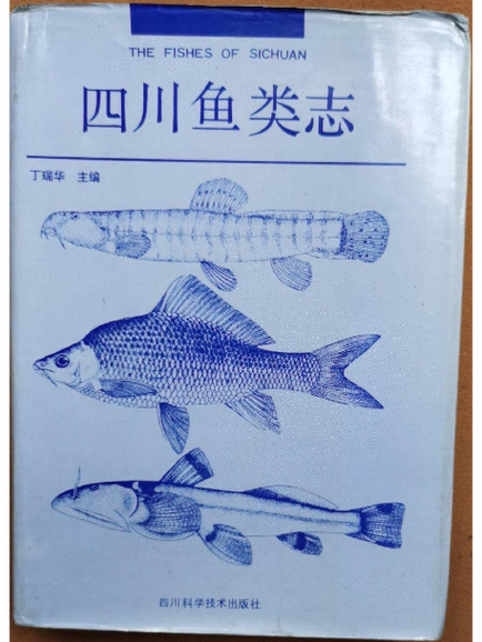 关于鱼的书籍图标