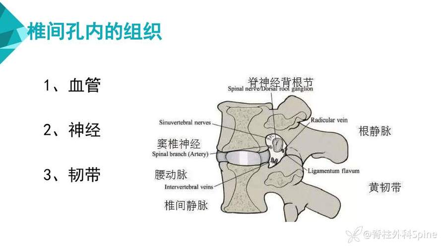 图解实用骨科图标