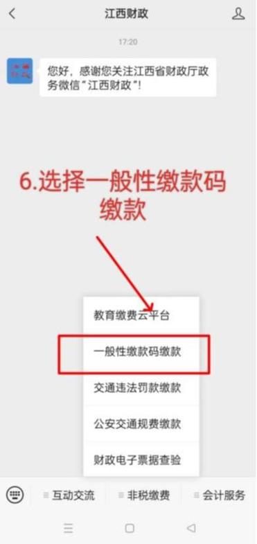 罚金怎么交网上缴费截图