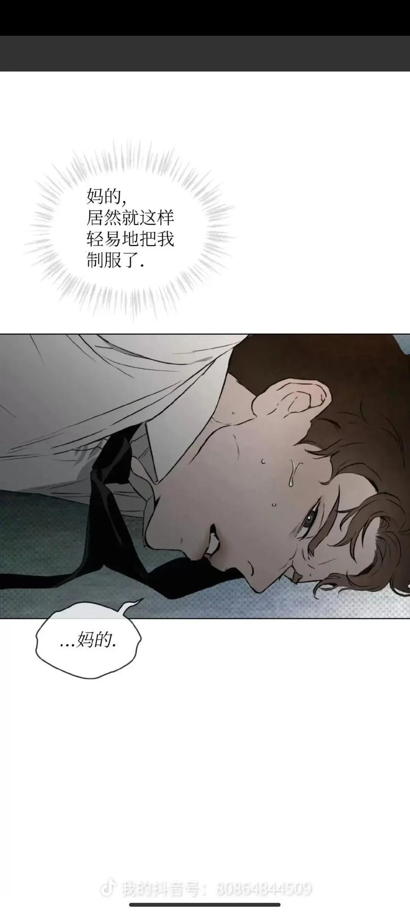 alpha香水韩漫百度云截图