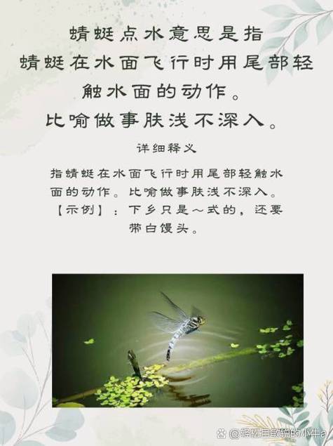 蜻蜓辅助是什么意思图标