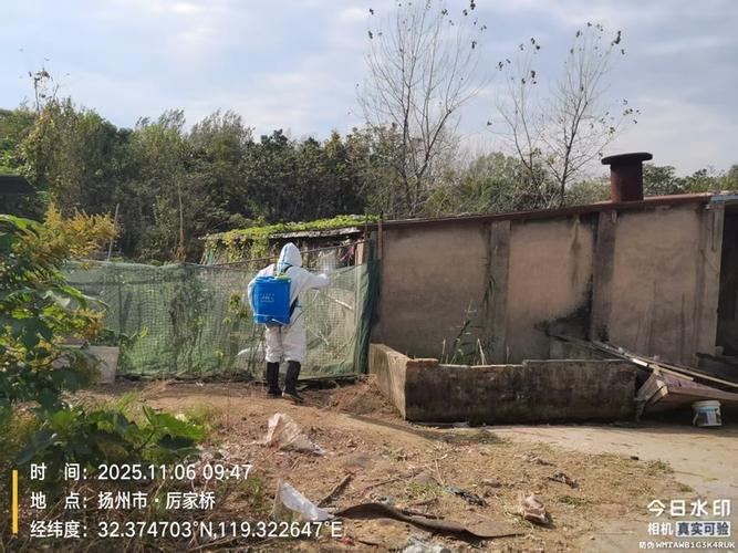 三灭四消截图