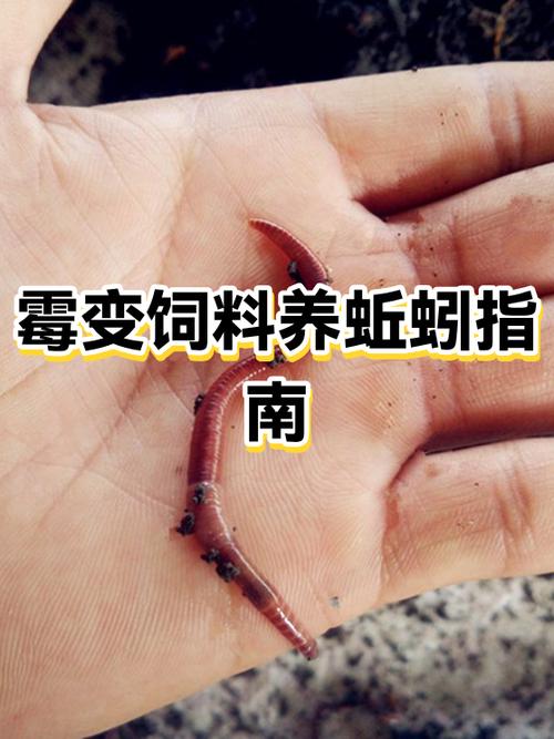 蚯蚓钻进尿道里蠕动刺激怎么办截图