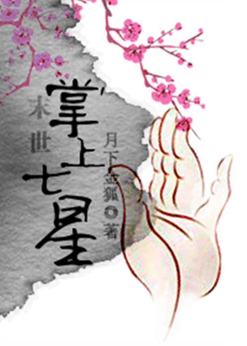 七星小说图标