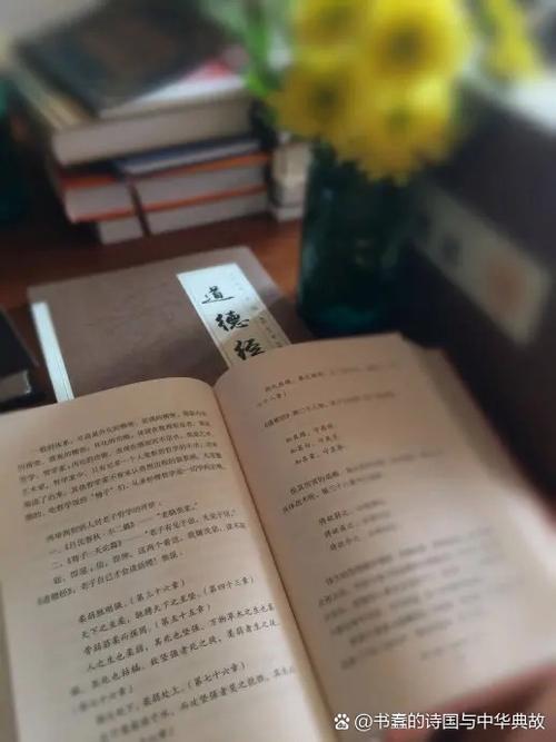 初夏看书app截图