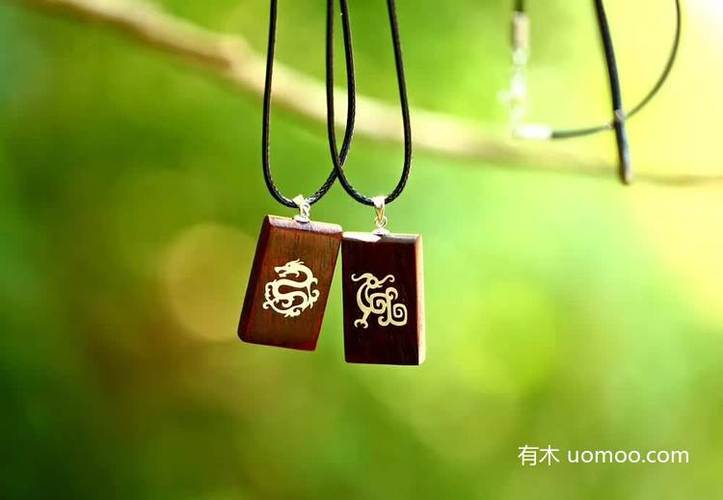 韶华美眷图标