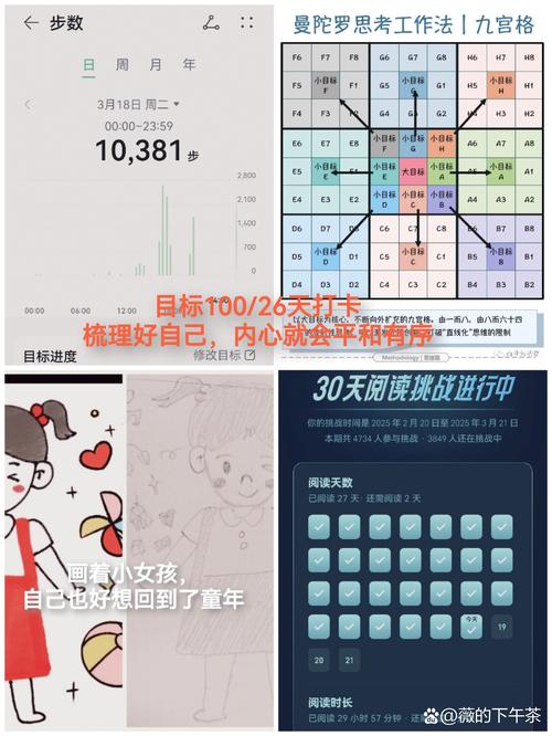 支付宝影子计划