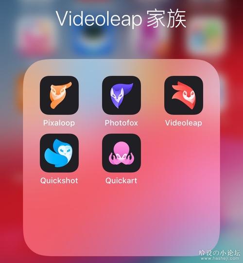 videoleap解锁版下载图标