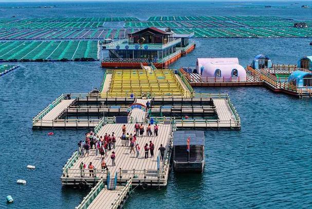 海洋牧场小说图标