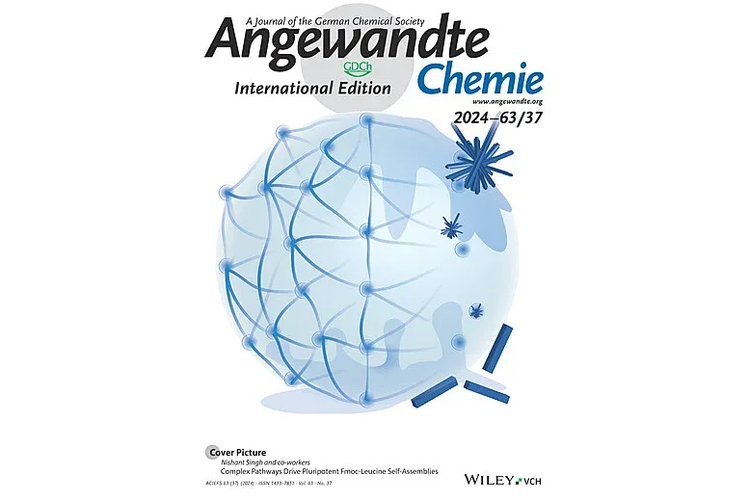 angewandte期刊官网图标