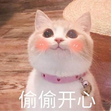 心情愉悦的表情包图标