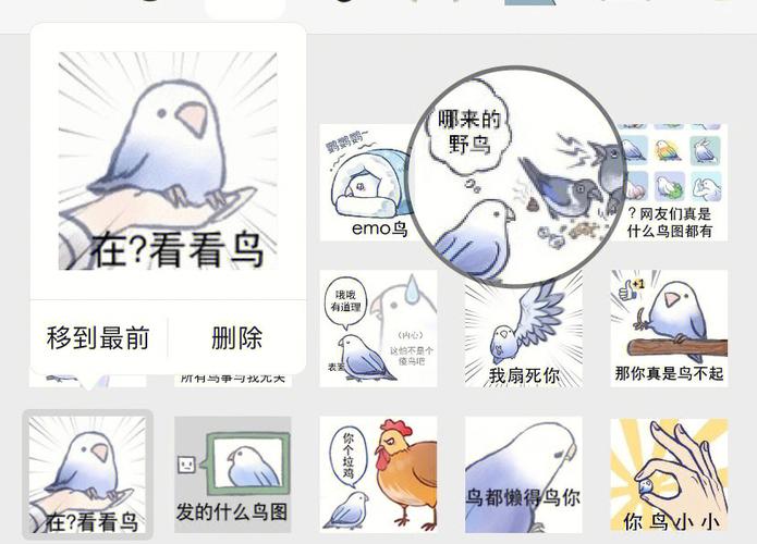 安装小鸟看看图标