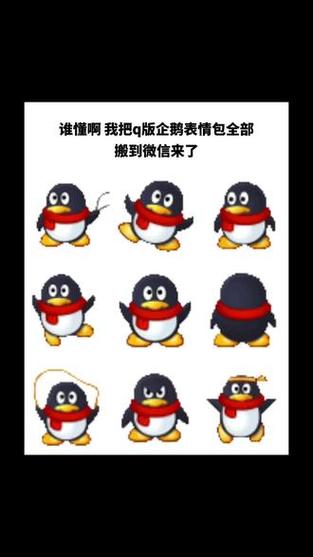 黑企鹅表情包来源图标