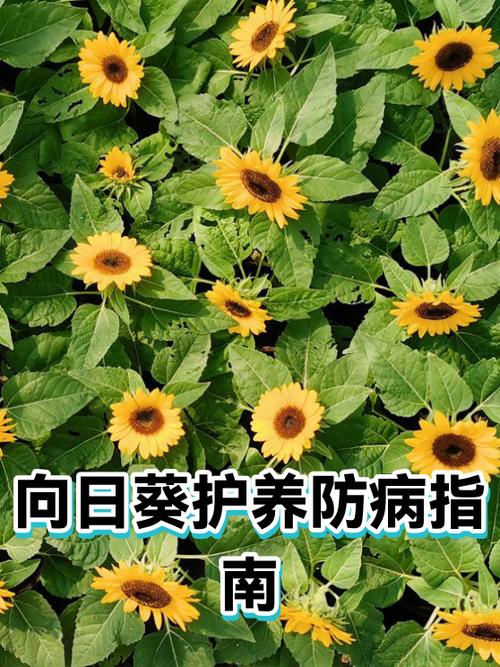 向日葵远程防休眠状态图标