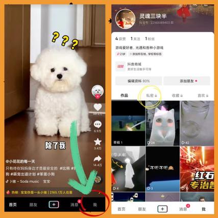 怎么把私密作品改成公开的截图