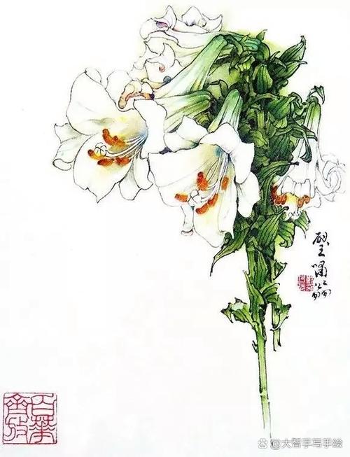 100种漂亮花边图标