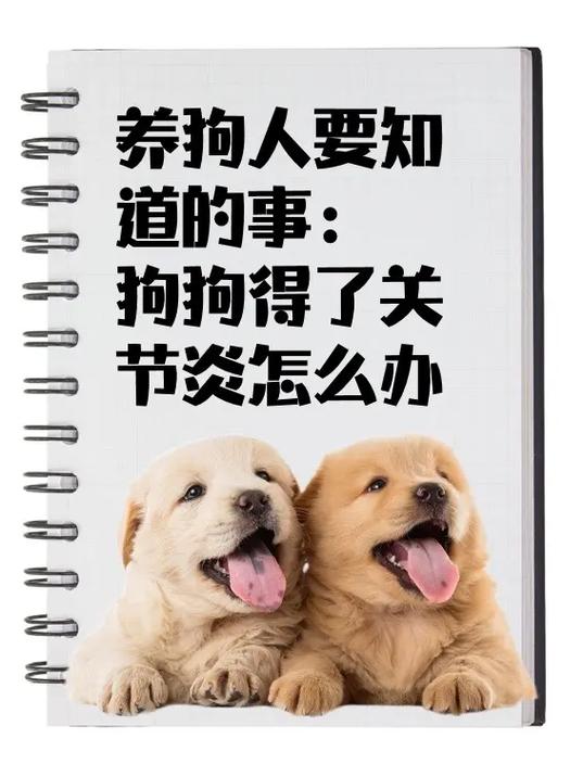 养狗乐趣幽默句子图标