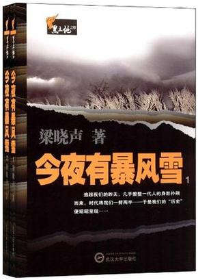 暴风小说网图标