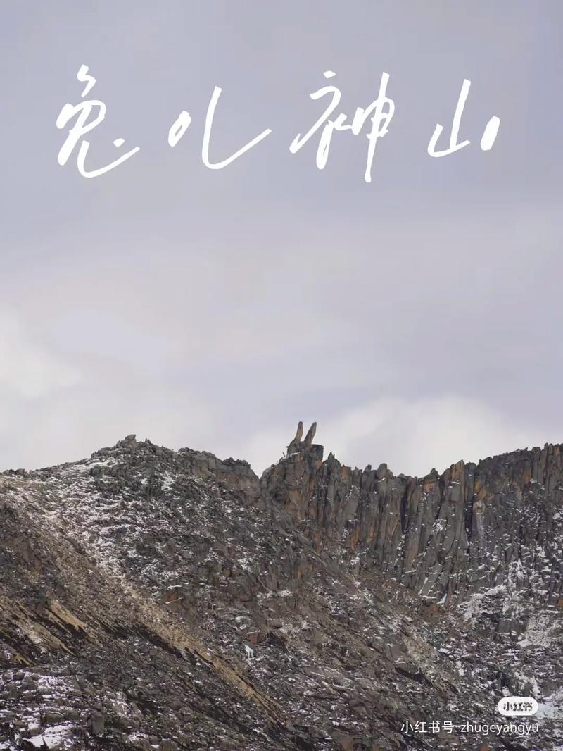 兔子山的小站截图