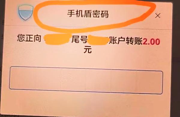 手机盾一年收费标准截图