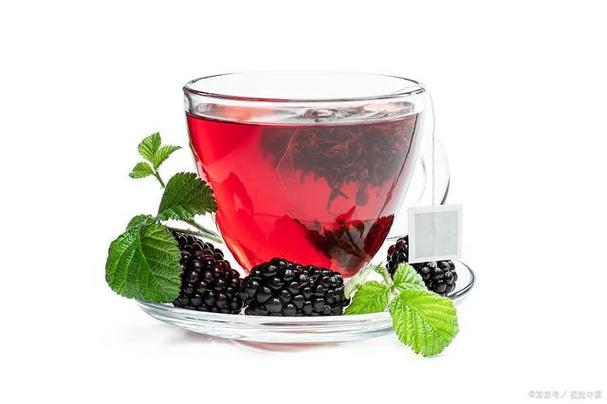 力鼎茶能延时多少分钟截图