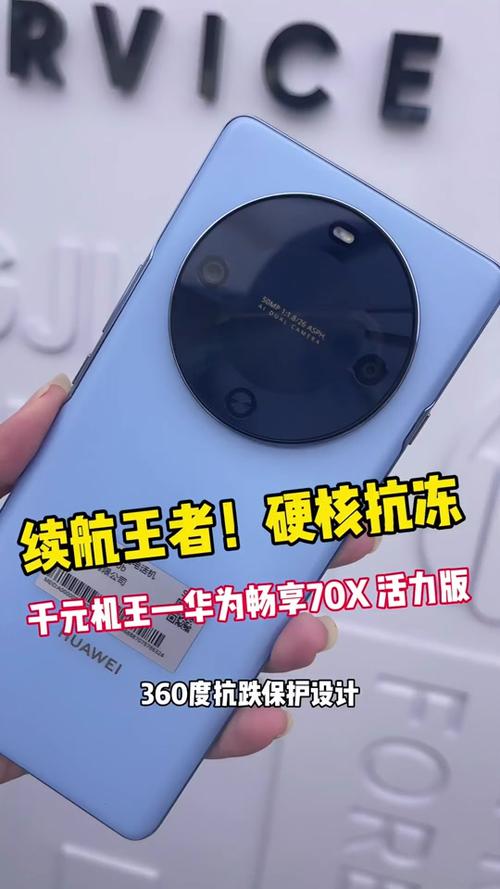 华为活力版和标准版哪个好