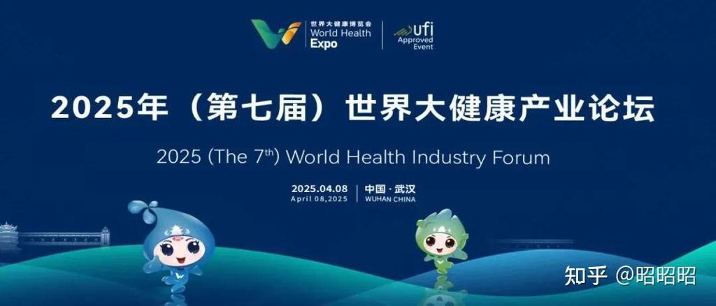 武汉市世界健康博览会图标