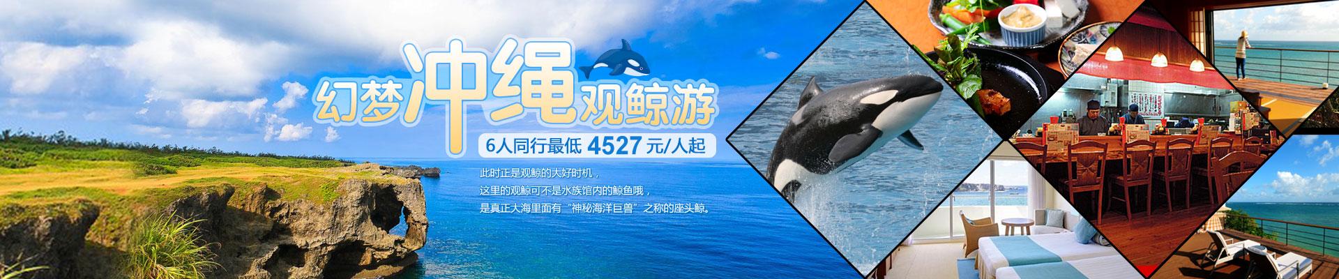鲸影视网页图标