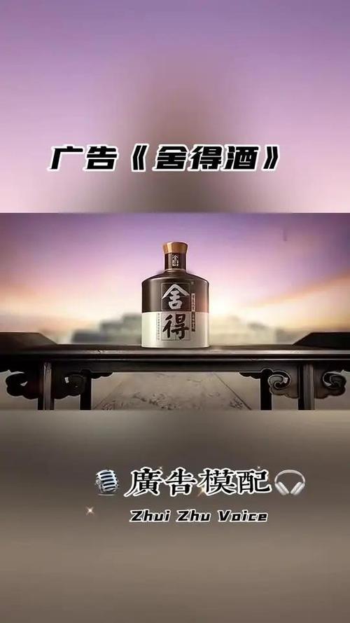 智慧人生品味舍得广告