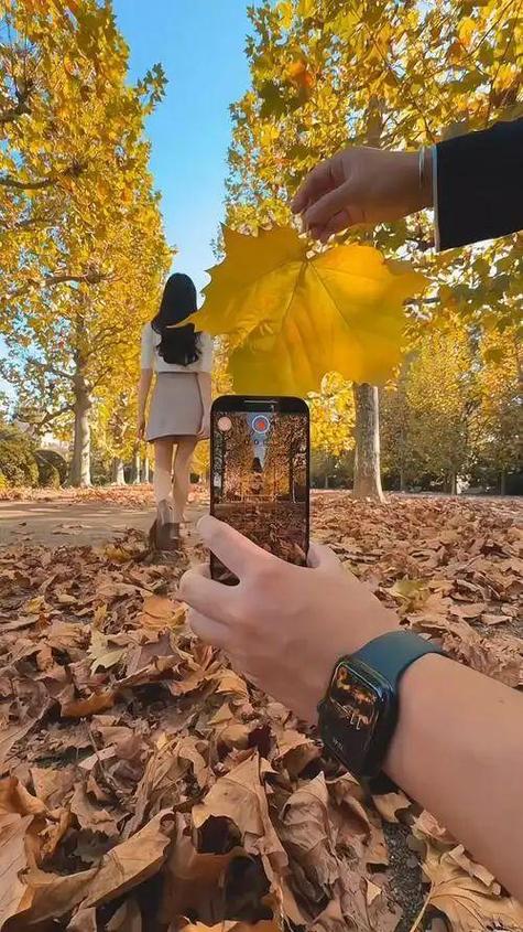 手机怎么倒置拍照图标