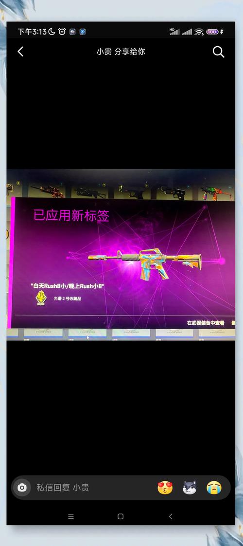 csgo武器改中文名字图标