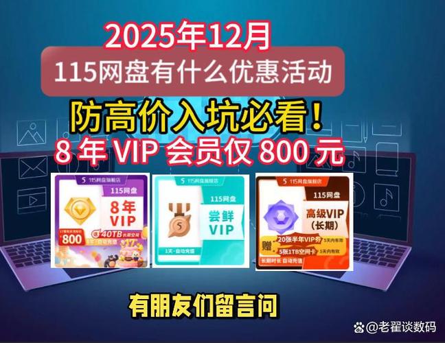 115网盘永久会员多少钱图标