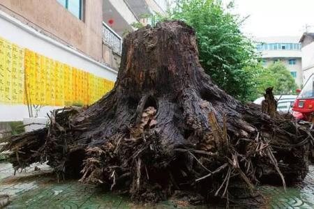 昆仑神木有没有截图
