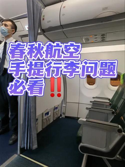 乘坐飞机手提行李规定图标