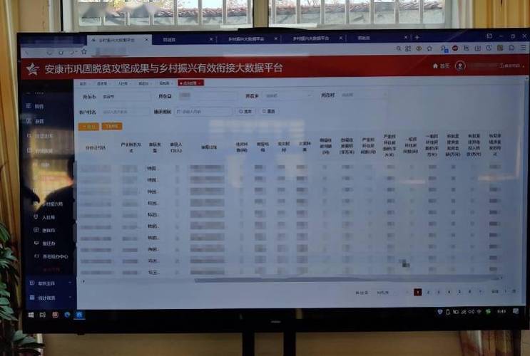 全国帮扶系统截图