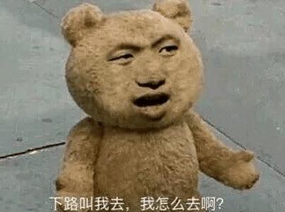 我真是小熊图标