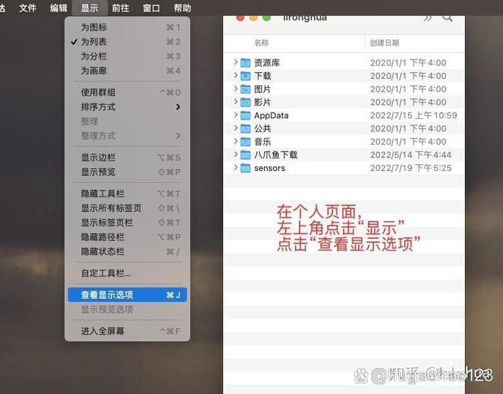 苹果系统内存占用过高怎么办