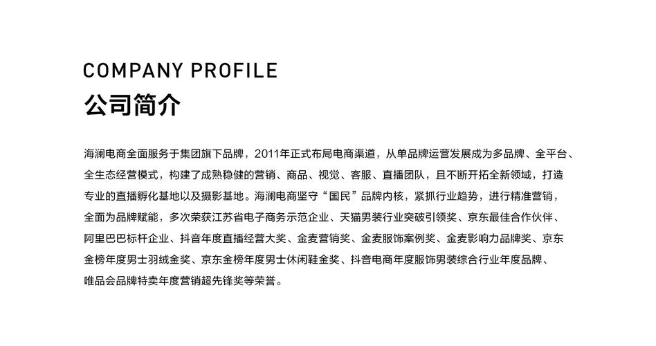 家电销售公司简介模板截图