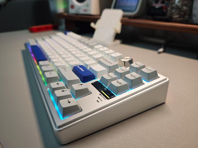 3D少盘3D心灵伙伴