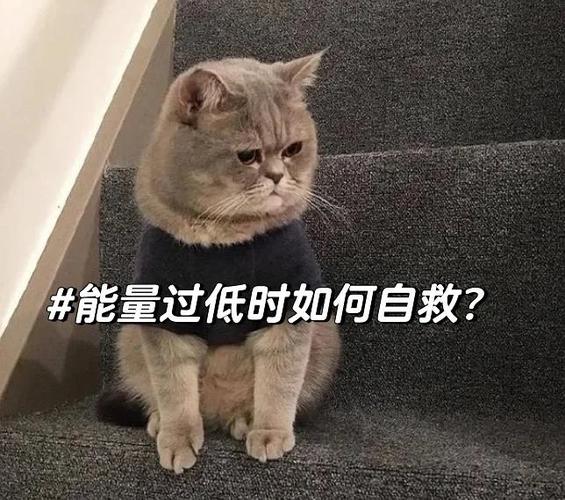 能量低的时候怎么办图标