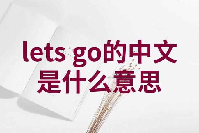 go的中文翻译是什么意思图标