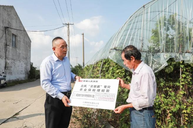 农作物损失赔偿标准图标