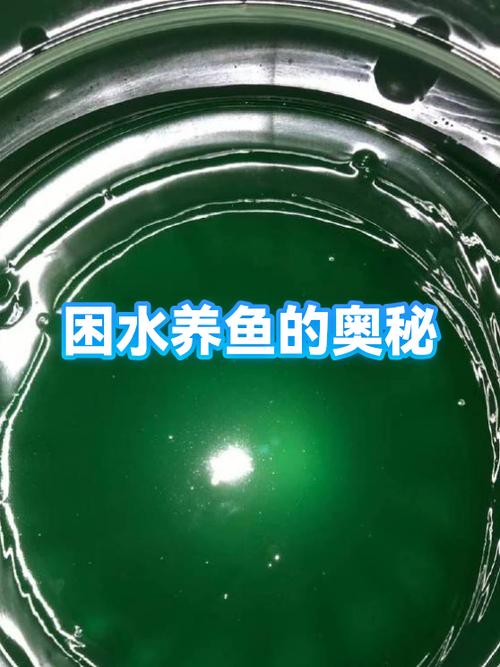 养鱼来不及困水怎么办