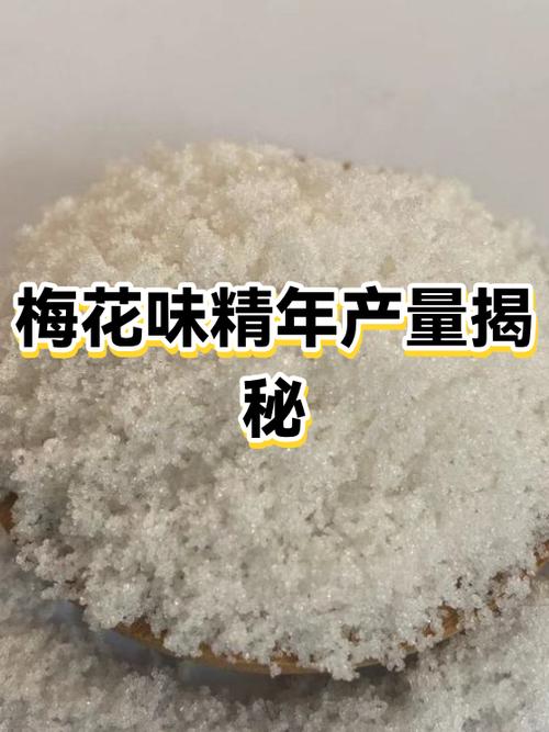 梅花用量一般多少克图标