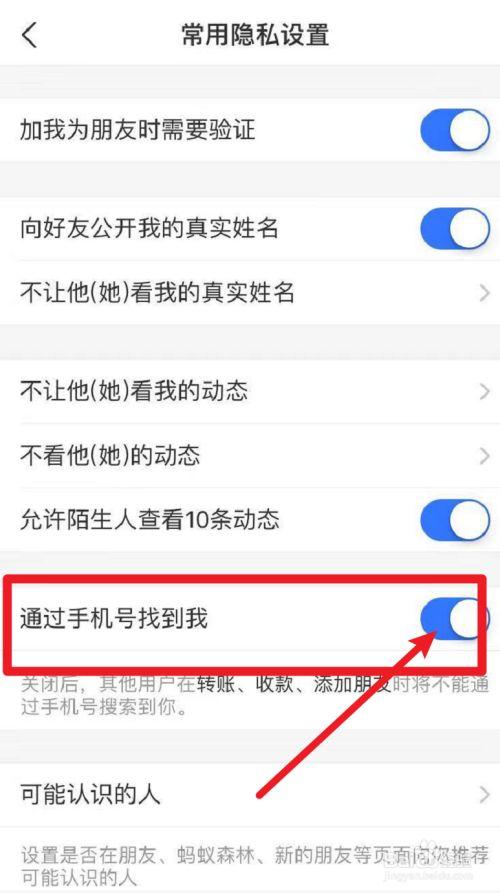 支付宝看不见好友V图标