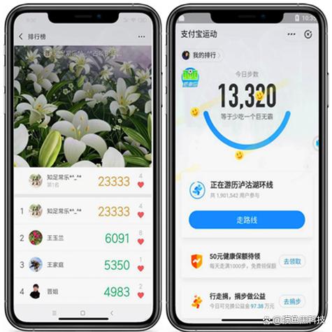 zepp刷步数教程截图