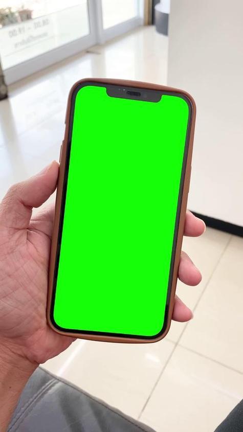 oppo手机充电变绿屏怎么解决截图