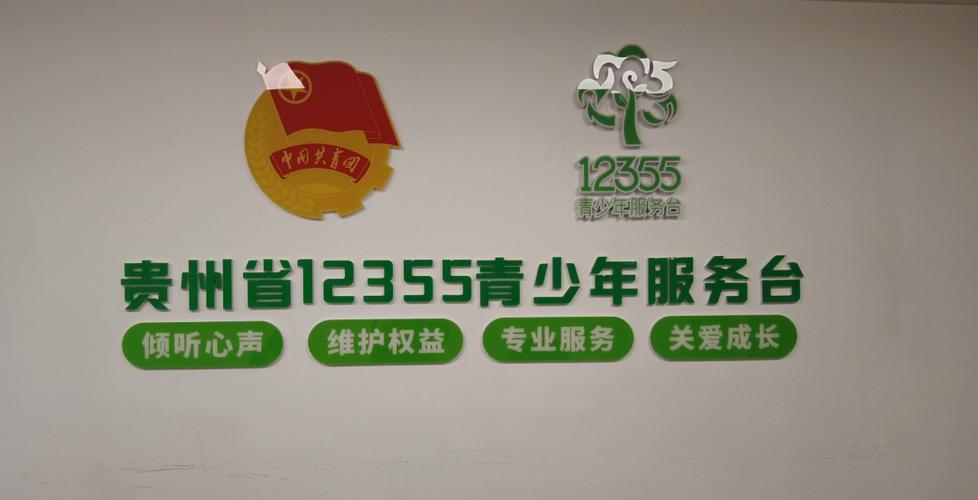 12355青少年服务中心截图